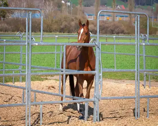 Durable Livestock Metal Fencing Solutions